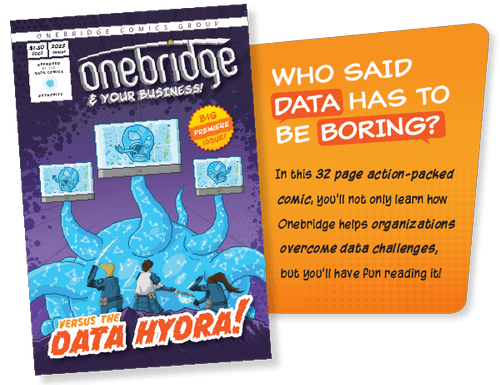 Onbridge BI & Data Analytics Consulting | About Us